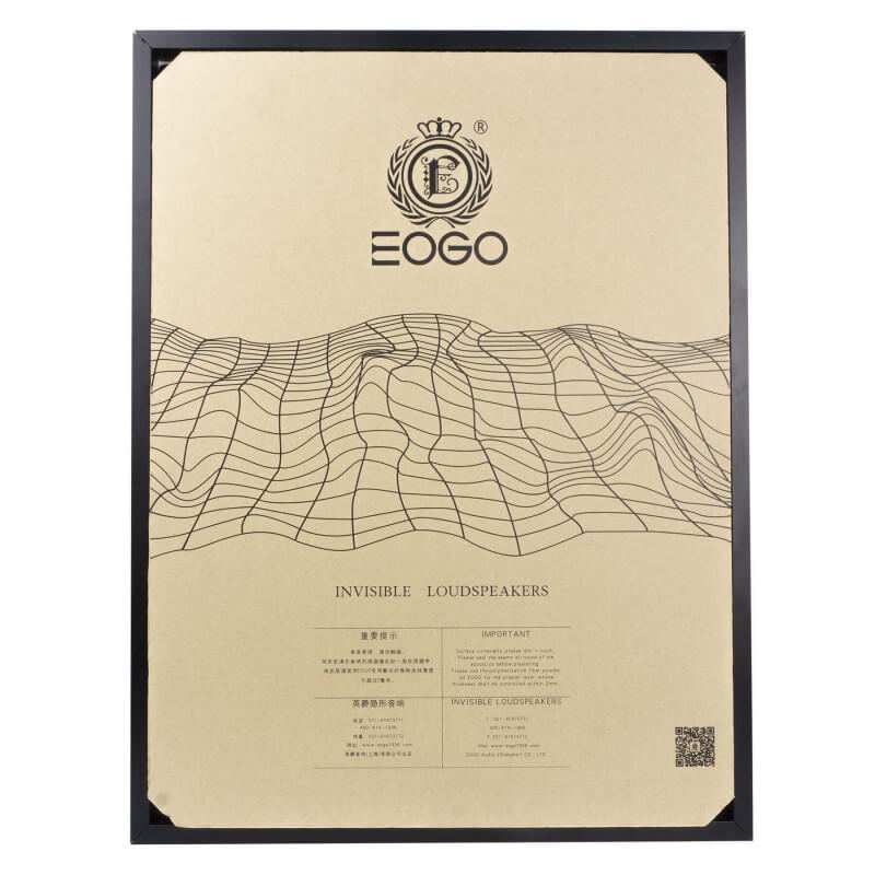 Акустика EOGO Invisible Speaker E30, встраиваемая (60 Вт) — купить в ...